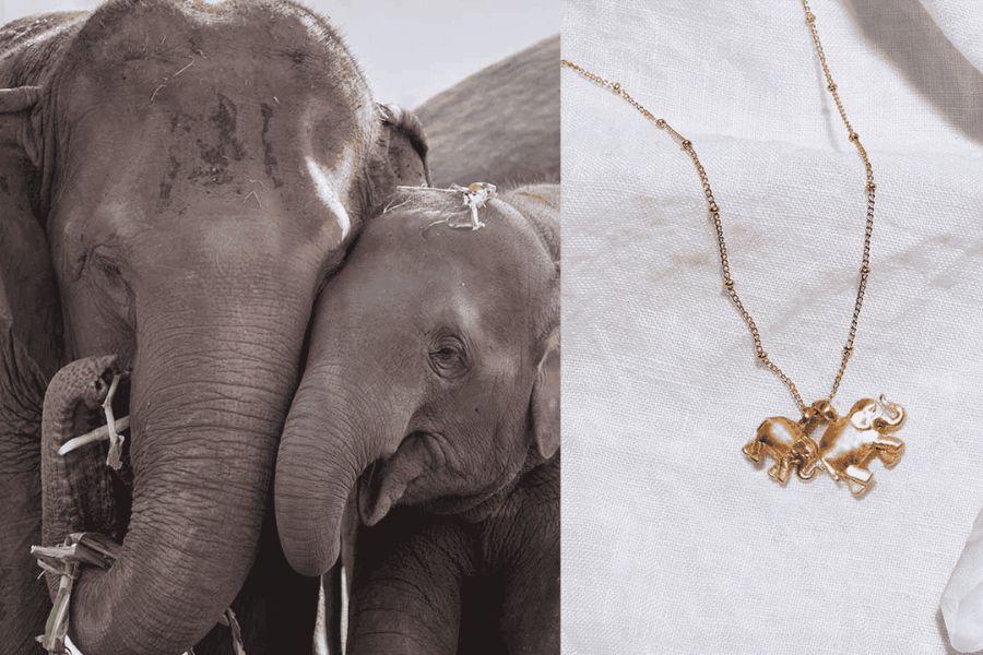 The Spiritual Meaning and Significance of the Elephant – Satya